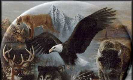 什麼是力量動物(Power Animal) – 靈性世界 SoulEvolve